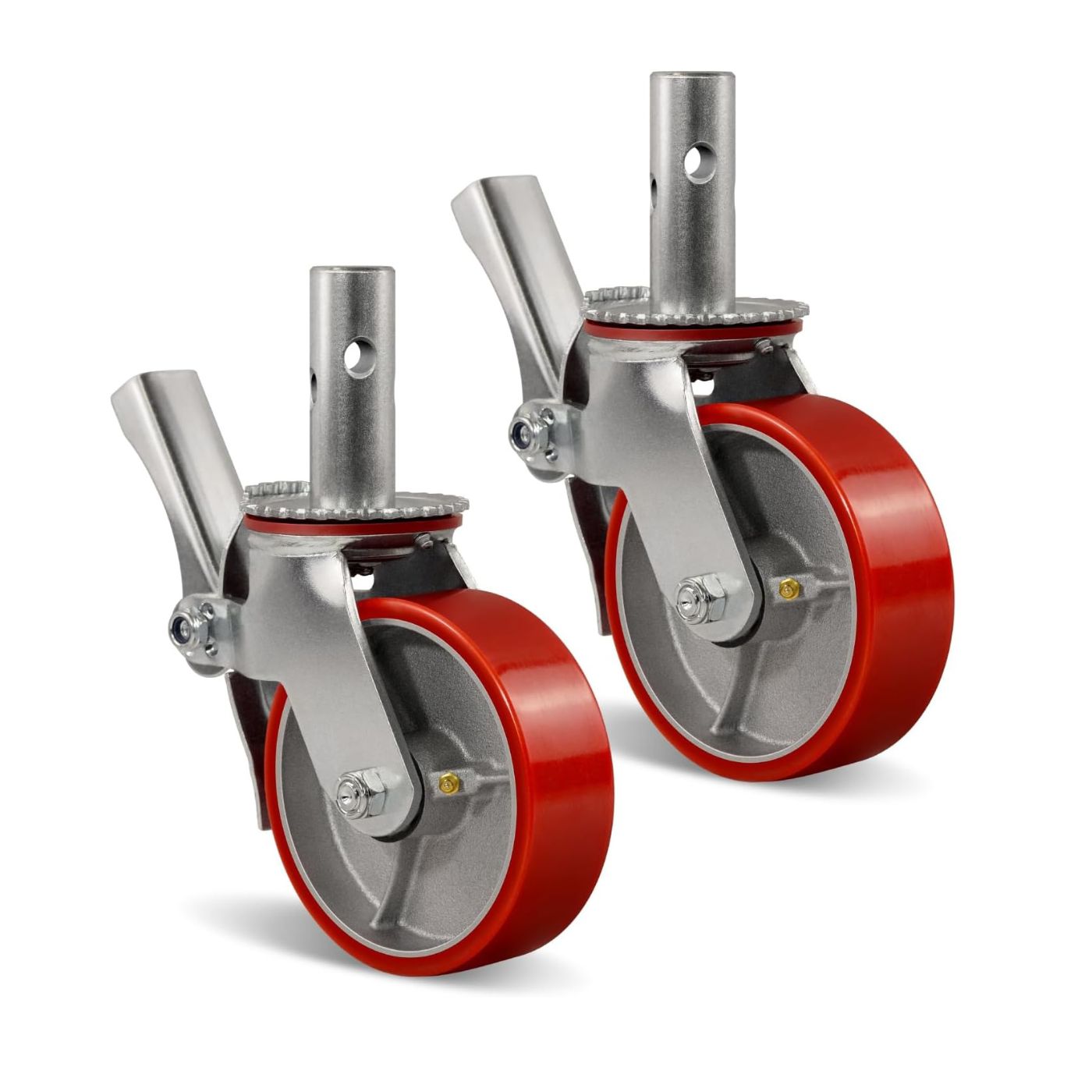 Stem/scaffold Casters – Foverswive
